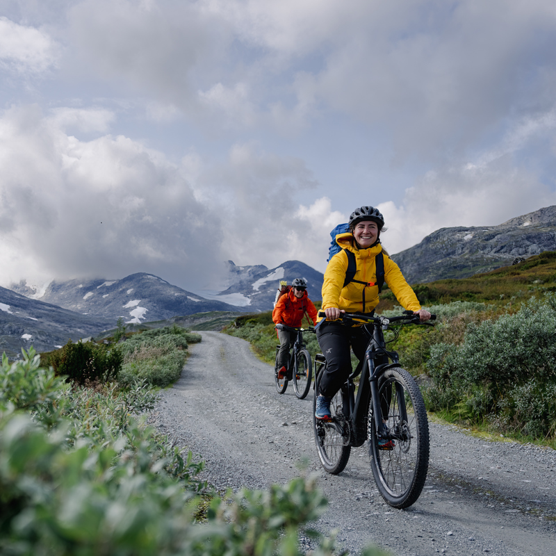Tyin - Koldedalen - Tyin Filefjell